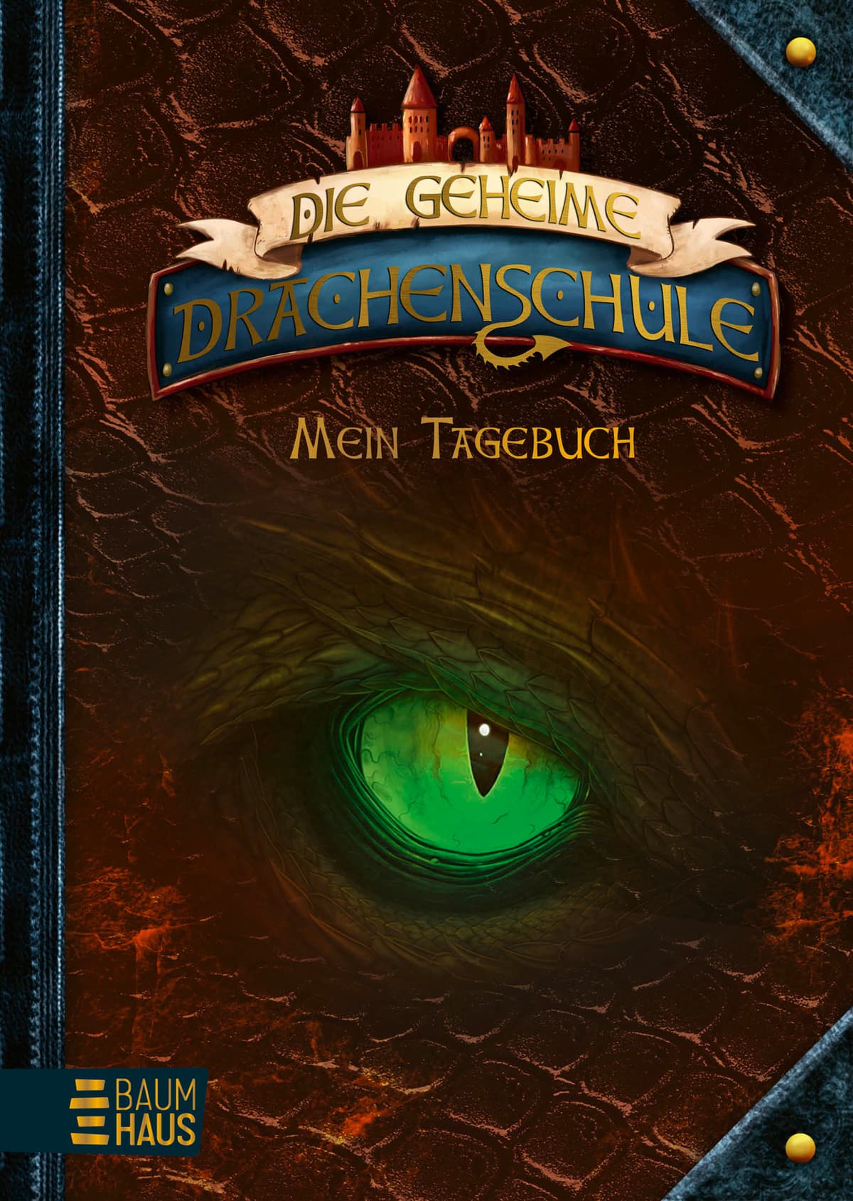 Die geheime Drachenschule